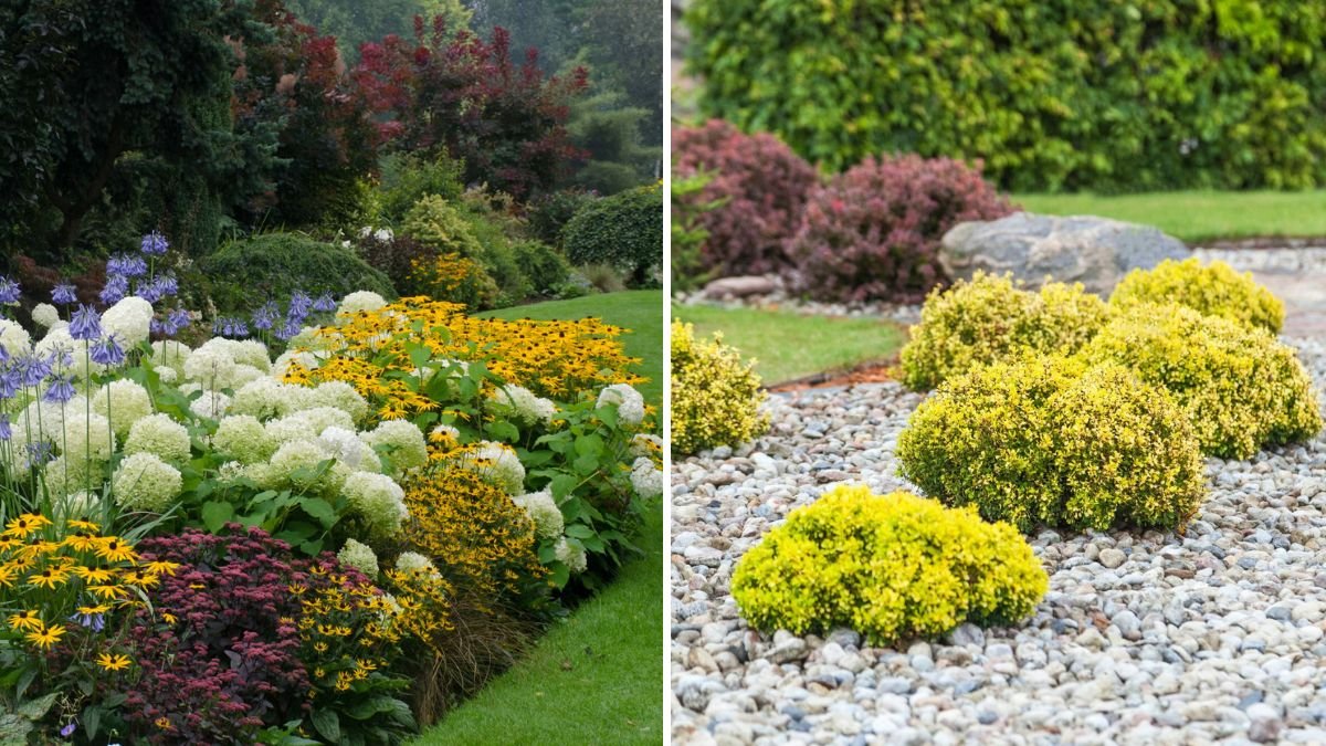 How to Create a Low-Maintenance Flower Garden - Chashme Shahi Garden